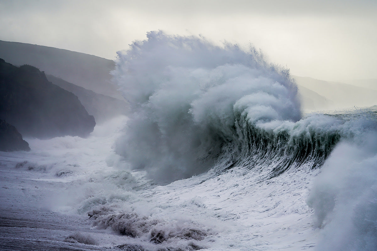 Boomer (Edge Frame) – Simon Jay Photography